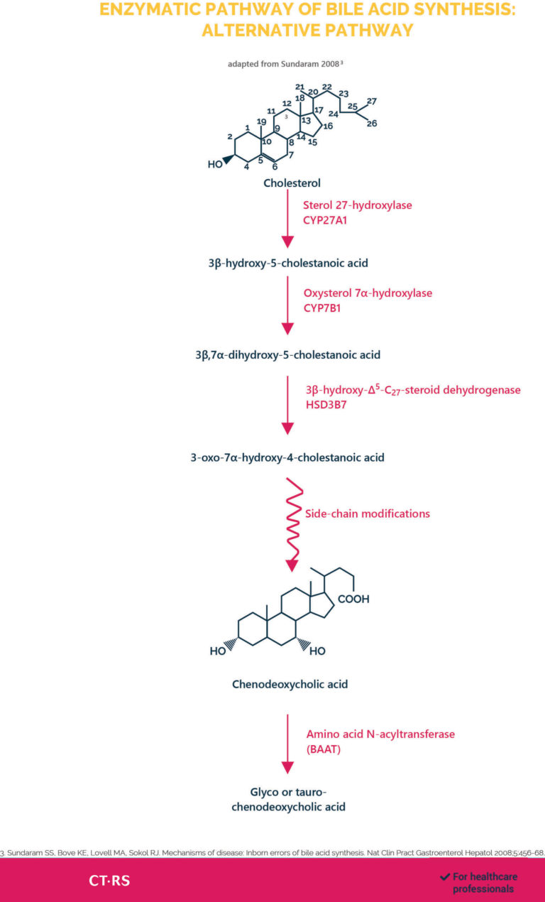 Downloadable Factsheets BASD - Rarecholestasis